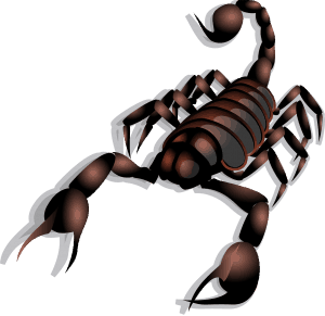 The SCORPION SPIRIT ANIMAL Ultimate Guide (Meanings & Symbolism)