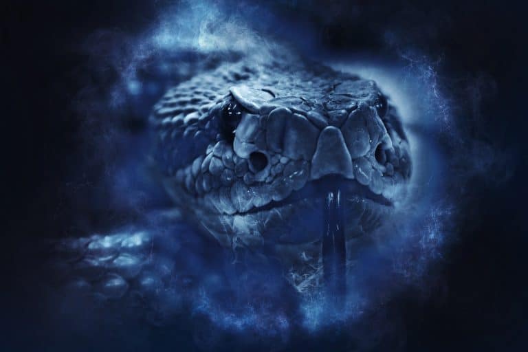 The SNAKE SPIRIT ANIMAL (Meanings & Symbolism/////////////////////////////9